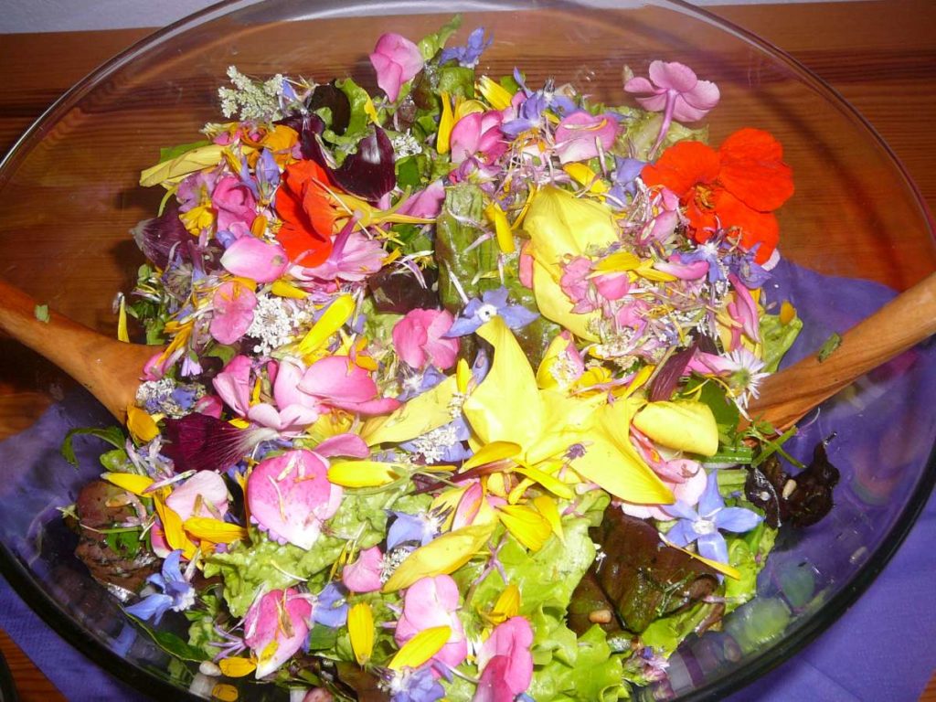 Wildkräuterküche – Impressionen – Christina Riedel