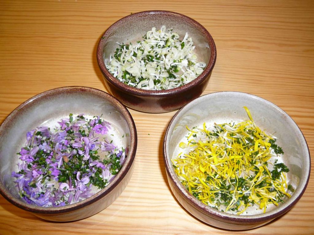 Wildkräuterküche – Impressionen – Christina Riedel